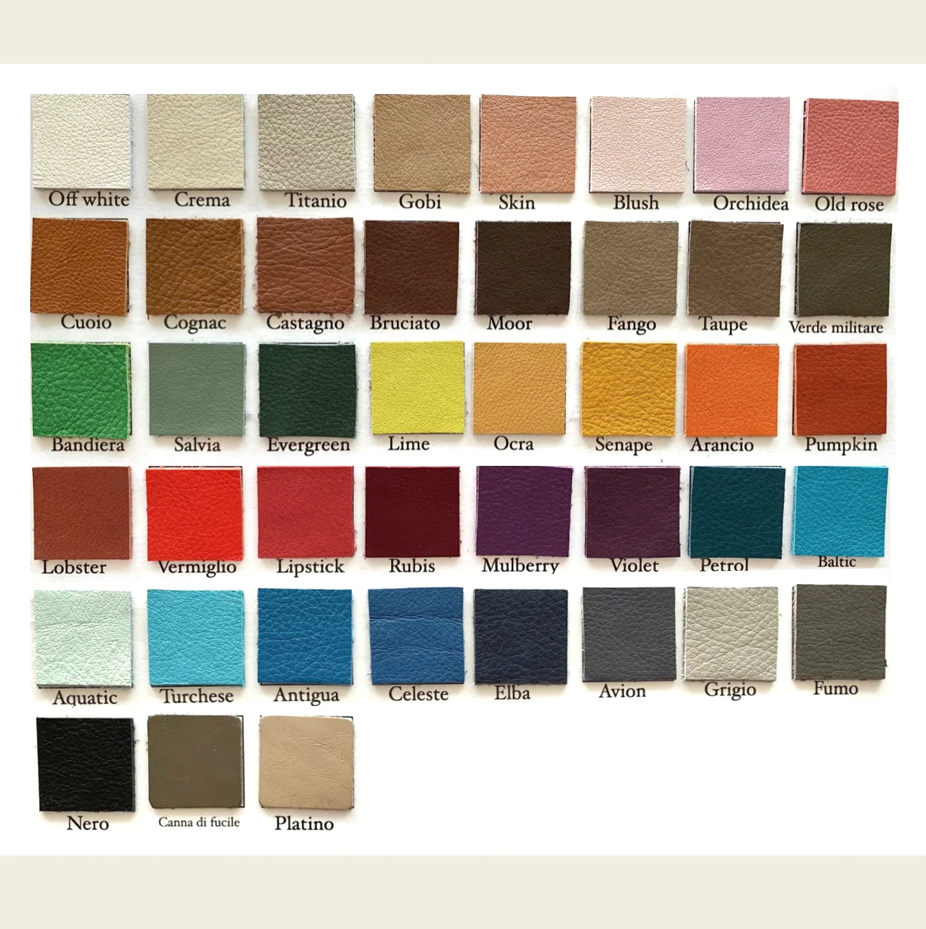 ARIEL - Back – Via Neapolis™